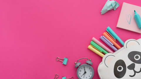 2026 Spark Carlswald School Midrand | Fees, Application Form Guide